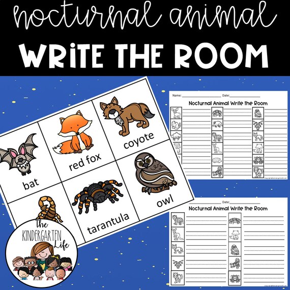 Nocturnal Animal Write the Room Activity | Etsy
