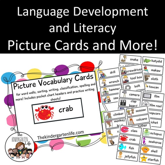 Language and Literacy Visual Cards 30 Categories and Word | Etsy