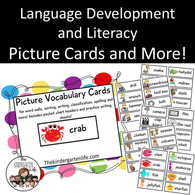 Language and Literacy Visual Cards 30+ Categories and Word Work - Etsy