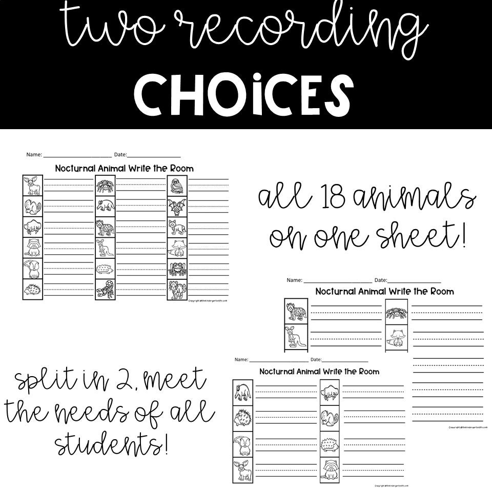 Nocturnal Animal Write the Room Activity - Etsy