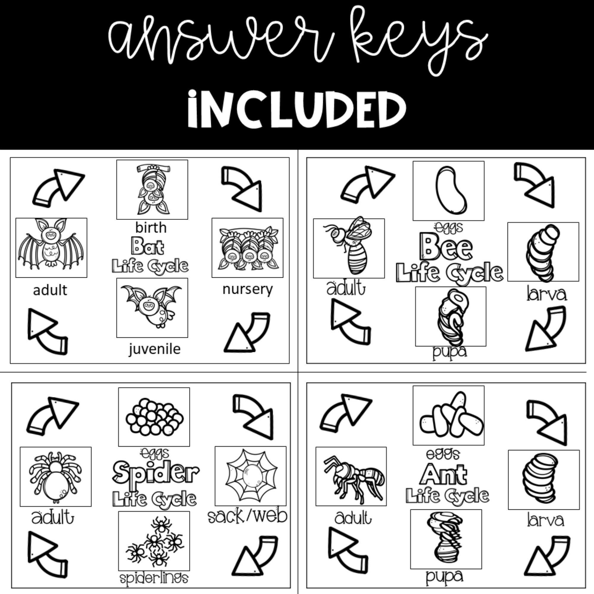 Life Cycle Task Box - Etsy