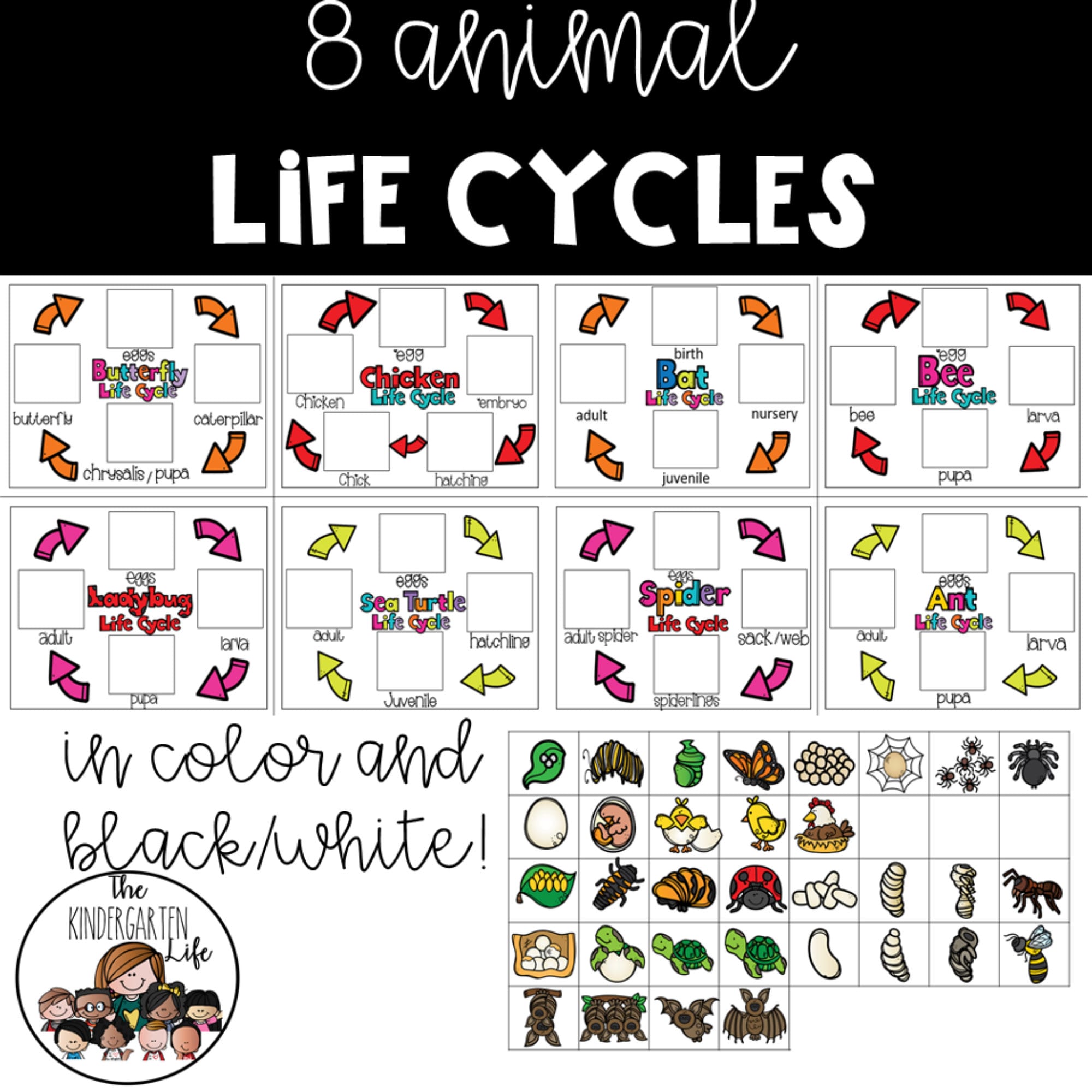 Life Cycle Task Box - Etsy
