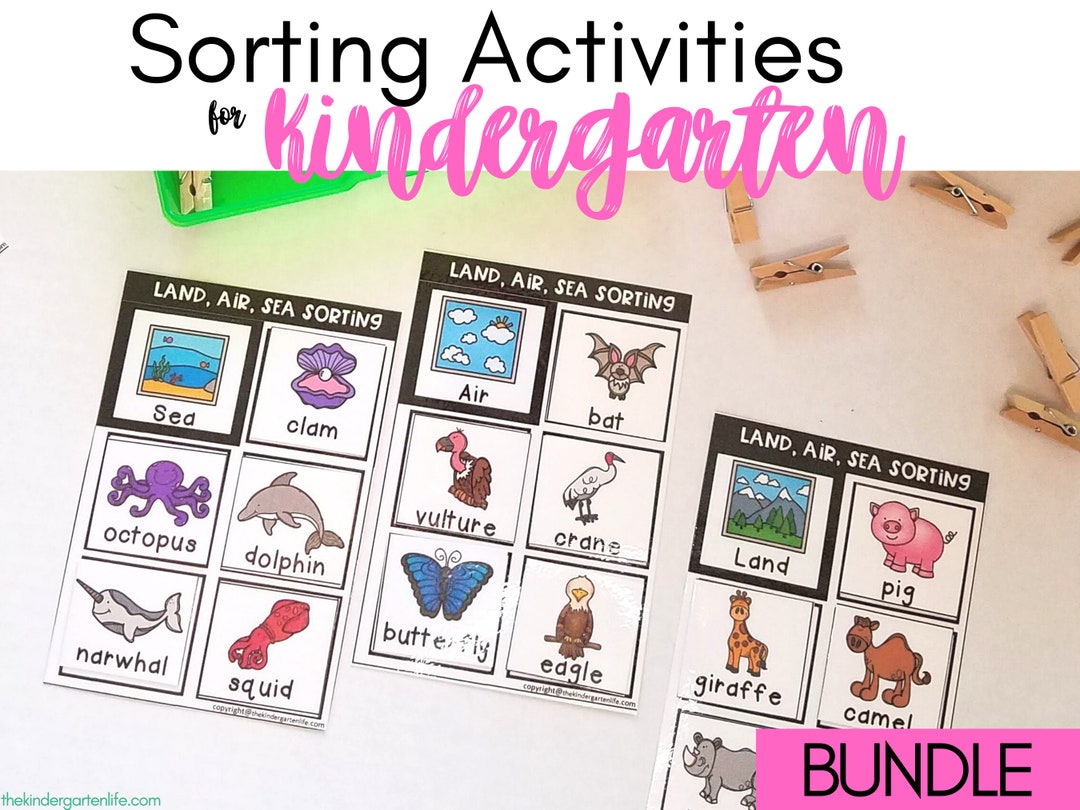 Sorting Activities Bundle - Etsy