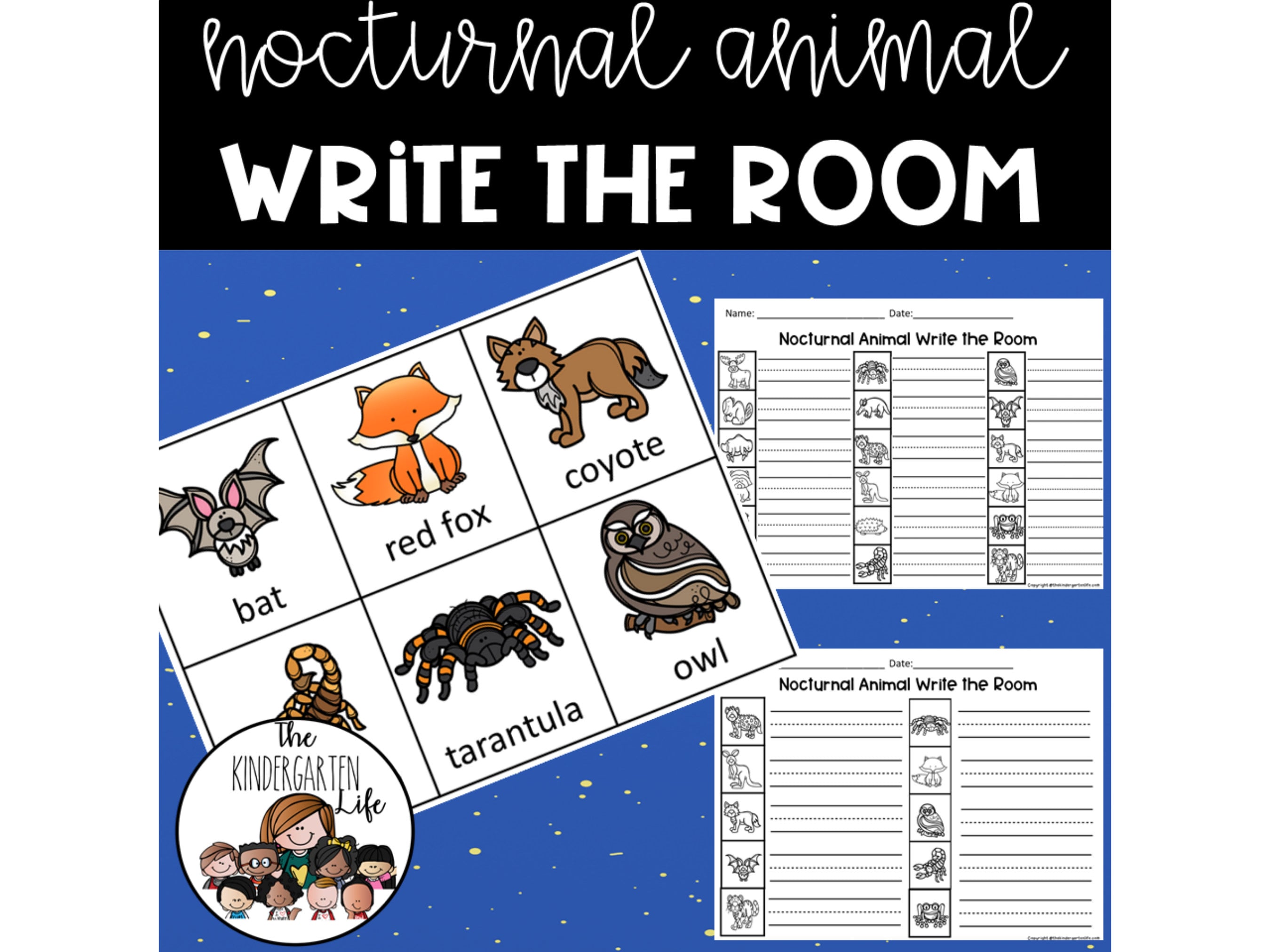 Nocturnal Animal Write the Room Activity - Etsy