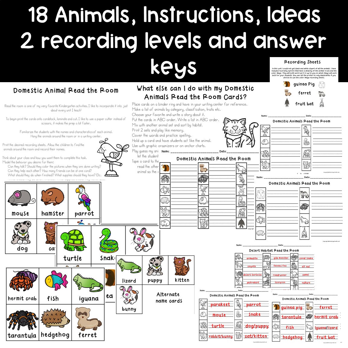 Domestic Animal Habitat Write the Room - Etsy