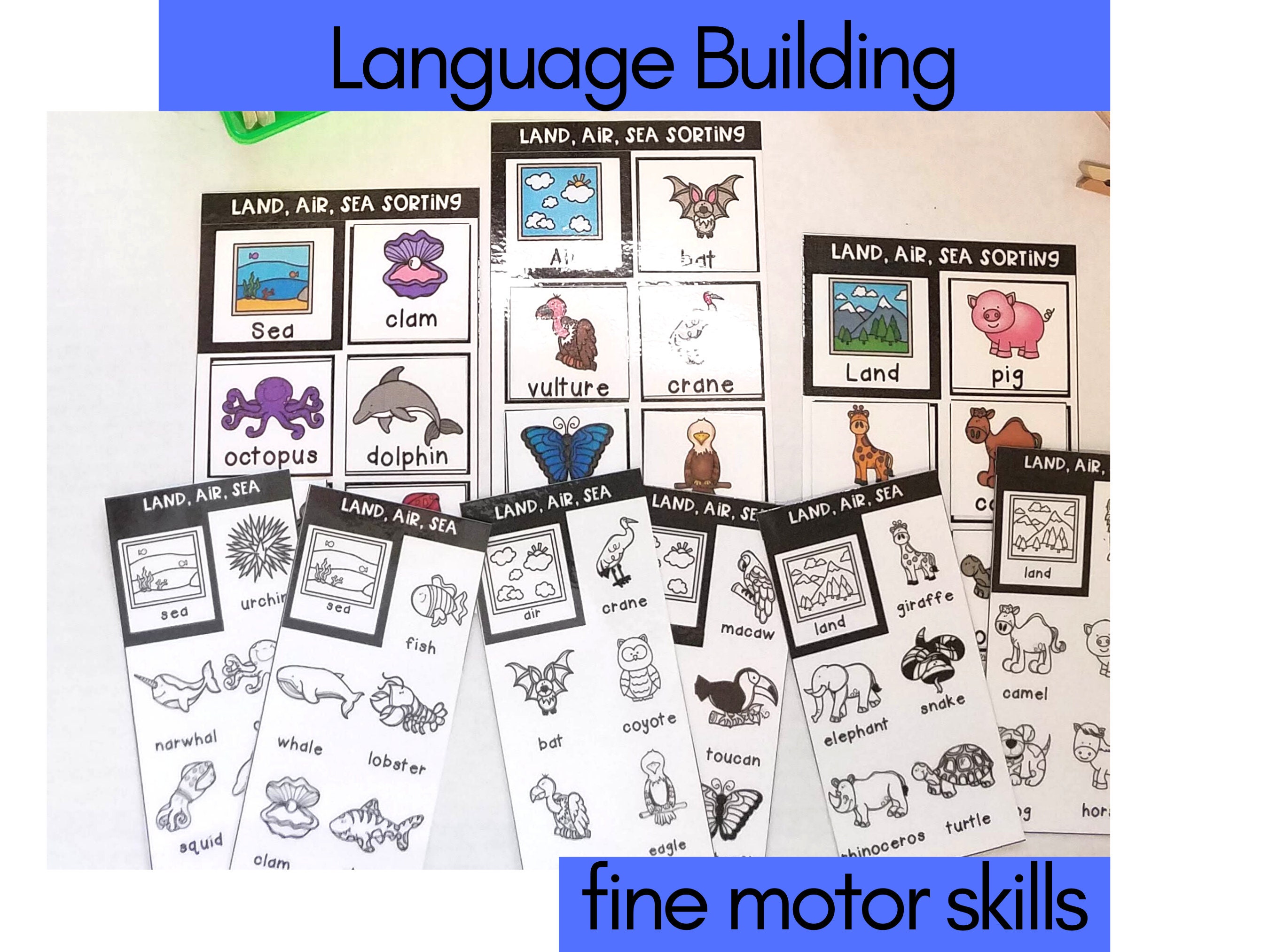 Land, Air. Sea Sorting Activity for Kindergarten, First Grade, Pre-k ...