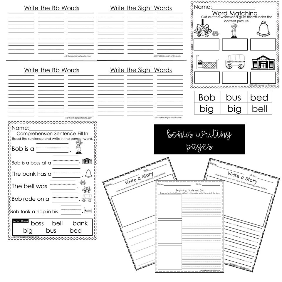 Decodable Dyslexia Reader Pam is a Pet - Etsy