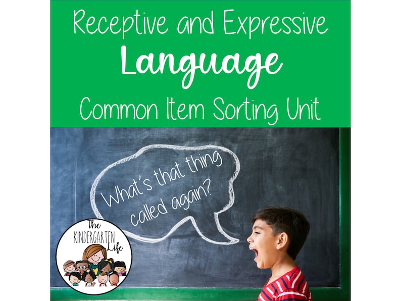 Receptive and Expressive Language Vocabulary Building for Speech ...
