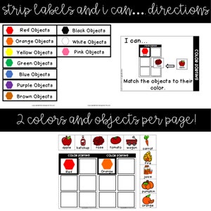 Color Sorting Task Box for Kindergarten - Etsy