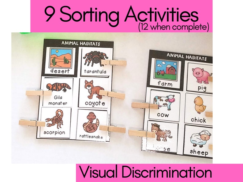 Sorting Activities Bundle - Etsy