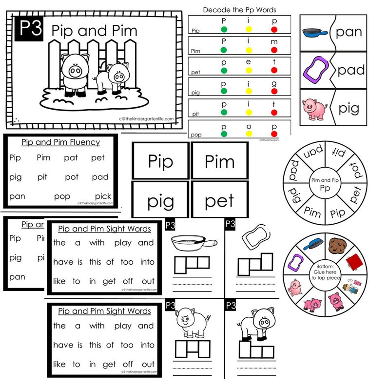 Decodable Dyslexia Reader Pip and Pim - Etsy