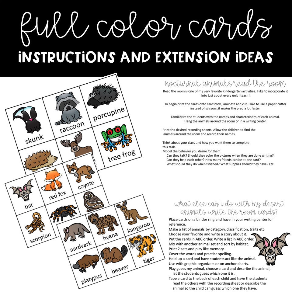 Nocturnal Animal Write the Room Activity - Etsy