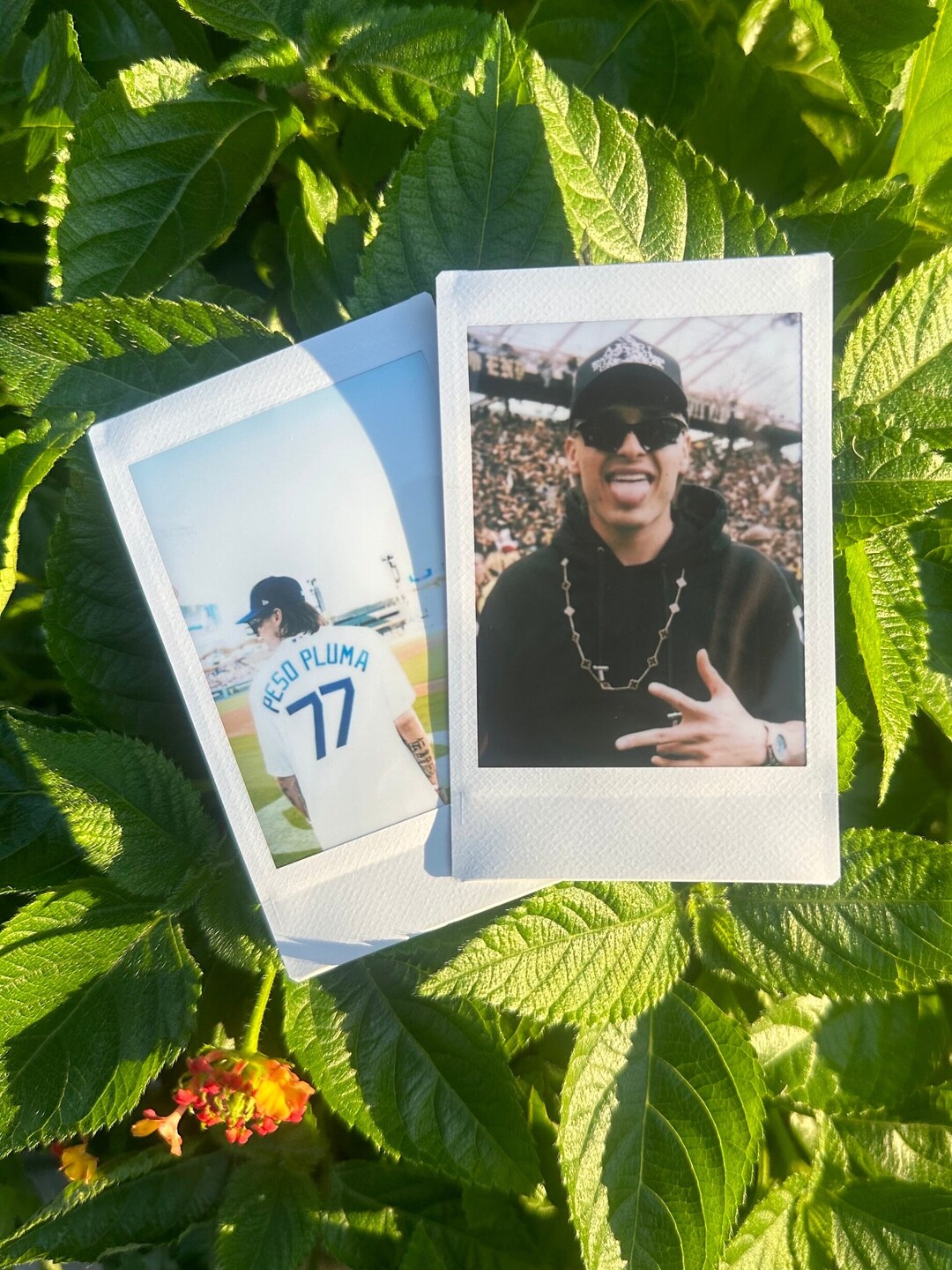 Peso Pluma Polaroids | Doble P | Custom Polaroids | Custom Peso Pluma ...