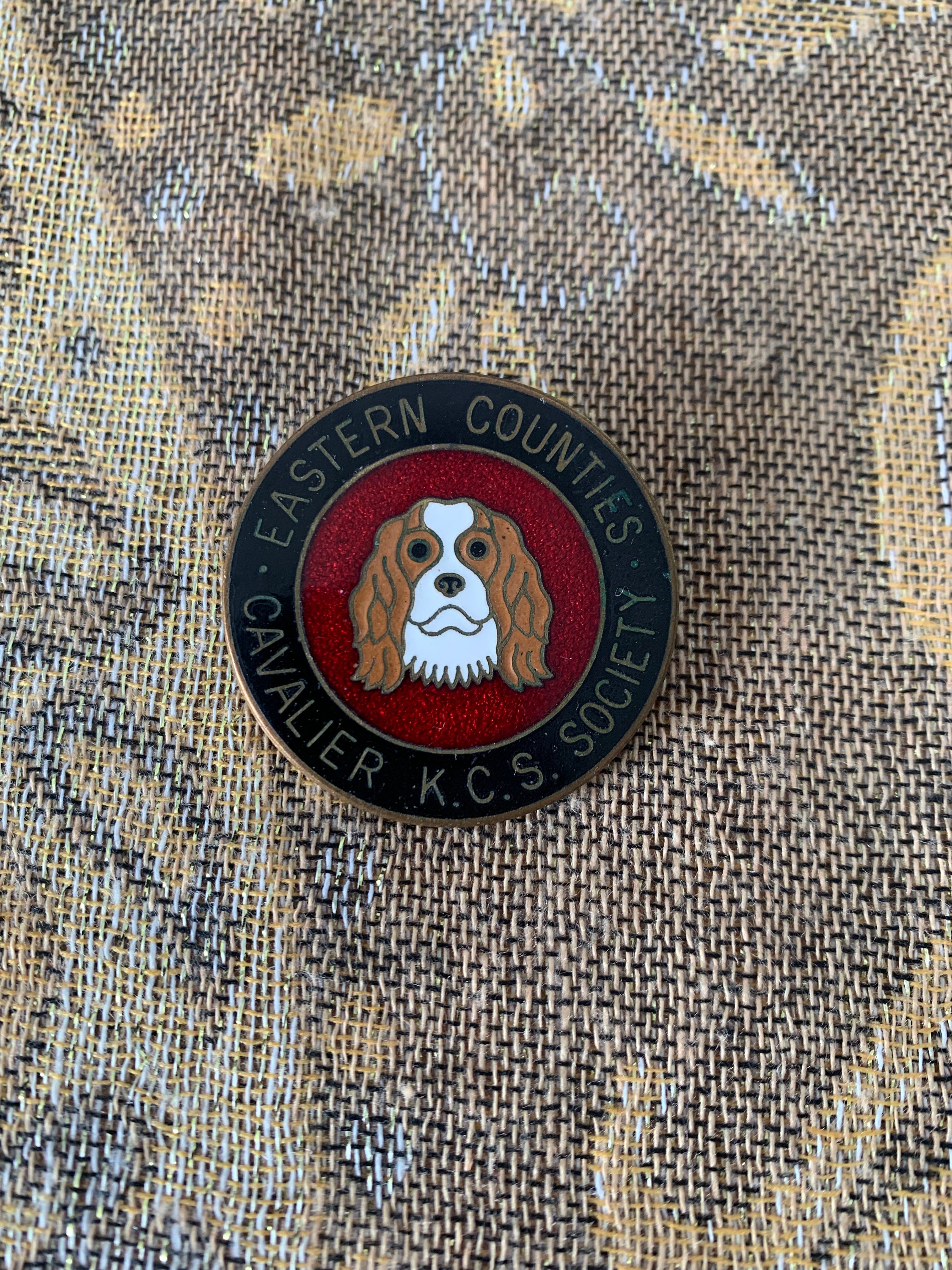 Cavalier Pin Badges Vintage Collectors Cavalier King Charles Spaniel ...