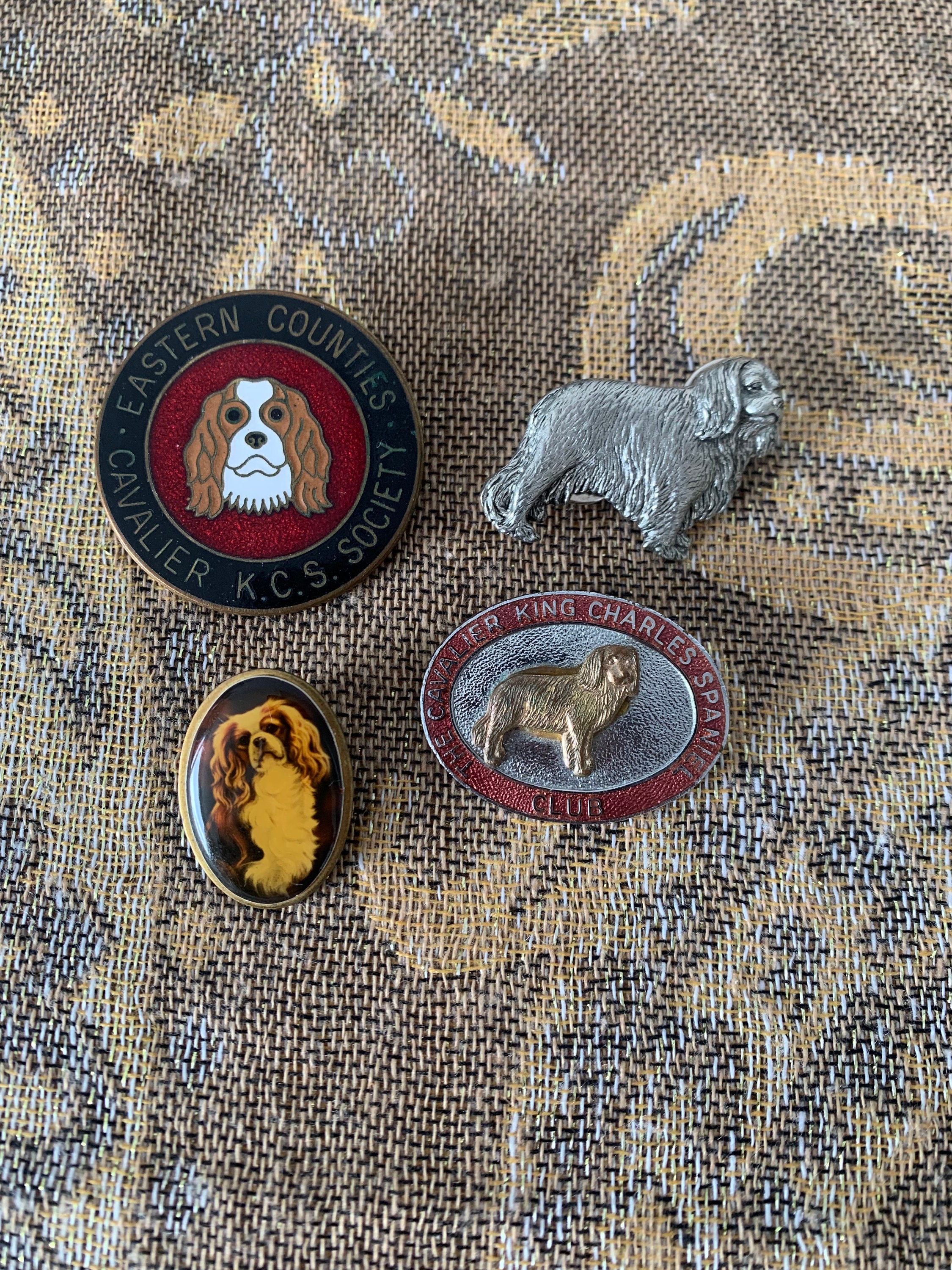 Cavalier Pin Badges Vintage Collectors Cavalier King Charles Spaniel ...