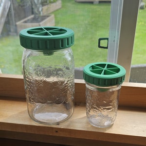 Big Fruit Fly Trap for Wide Mouth Mason Jars - Effective Bug Catcher - Etsy