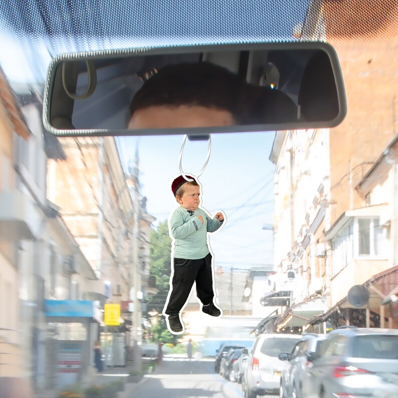 Set of 4 Hasbulla Car Air Freshener Spring Car Fragrance - Etsy