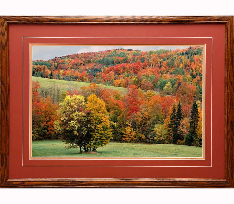 Vermont Autumn Hillside Photograph, Framed Fall Scene by David ...