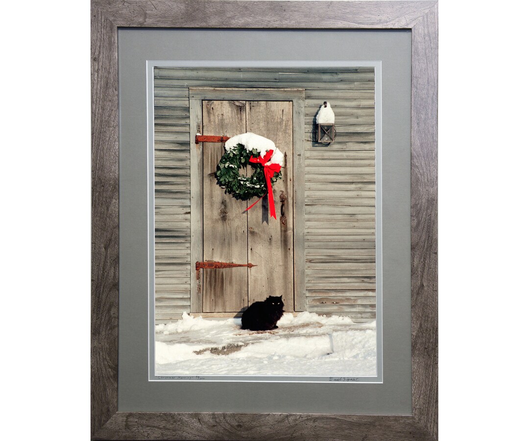 Christmas Morning Framed Photograph by David Fingerhut. Black Cat and ...