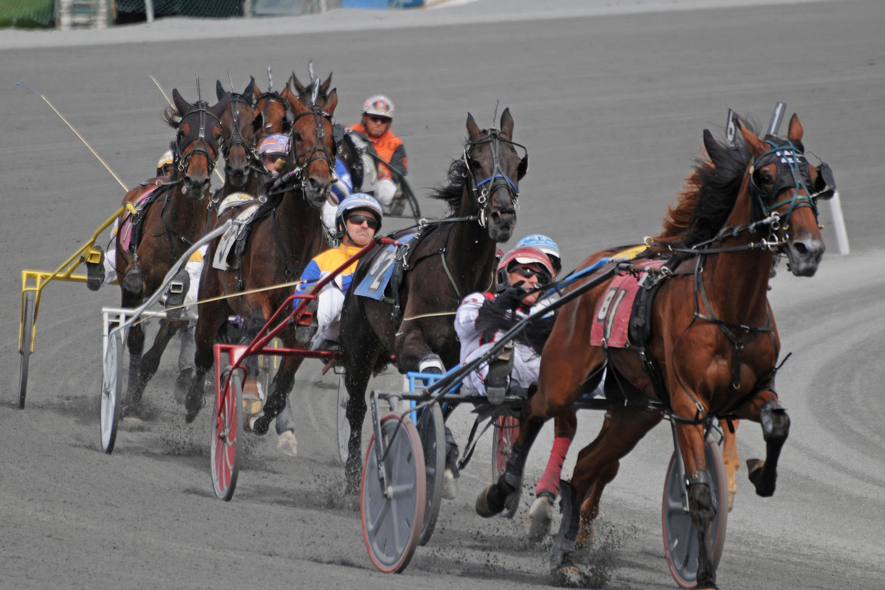 Race to the Finish, Saratoga Harness Track Print, Saratoga Springs, NY ...