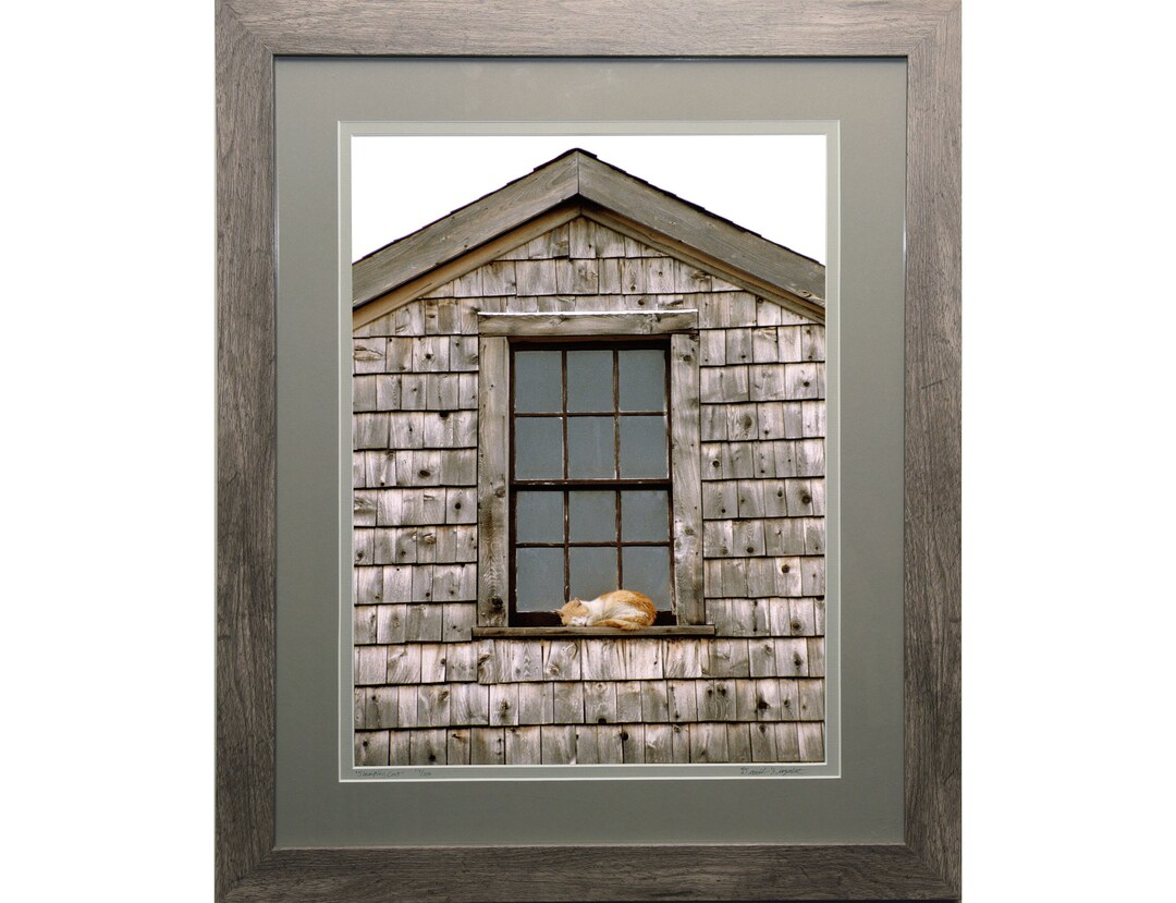 Sleeping Cat Photograph by David Fingerhut. Framed Photo. Cat in Window ...