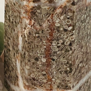 Fish Eye Jasper Tower - Etsy