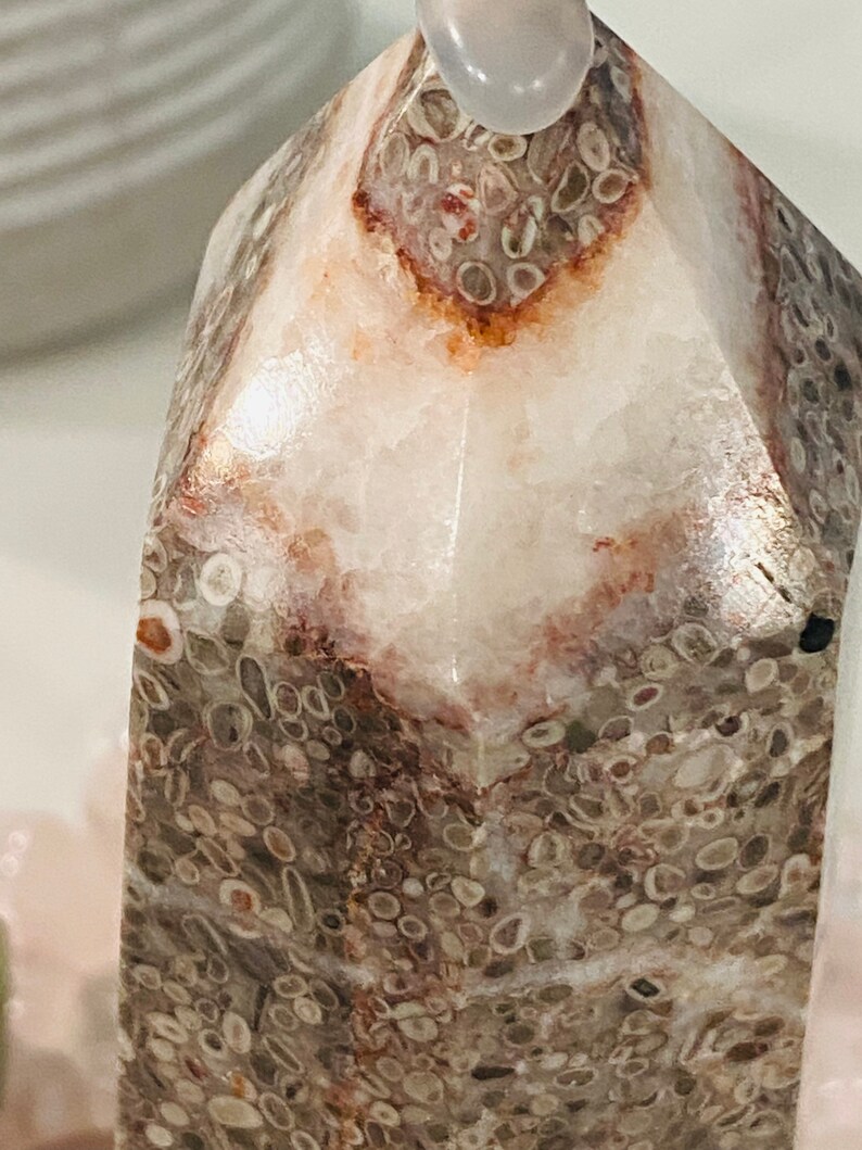 Fish Eye Jasper Tower | Etsy