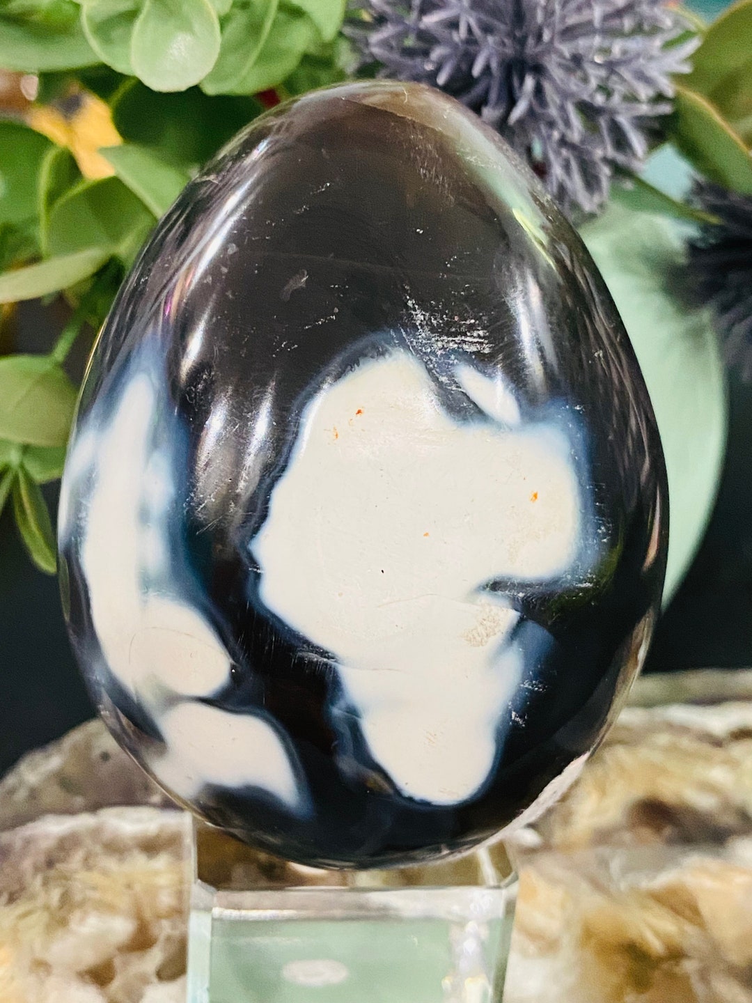 Orca Agate Egg - Etsy