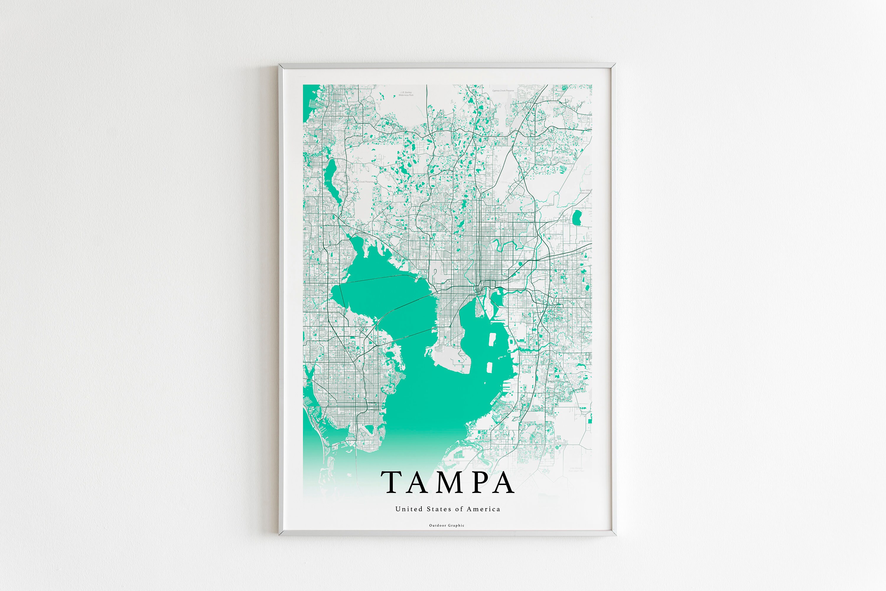 TAMPA POSTER Florida Map Tampa Print Art Poster wall Art City Map ...