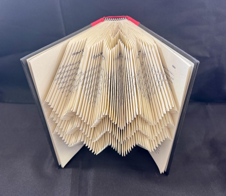 Zig Zag Folded Book Art - Etsy