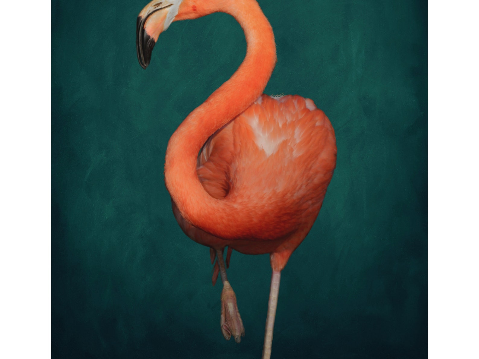 Flamingo Art Print · Pink Flamingo Poster · Large Wall Art · Botanical ...