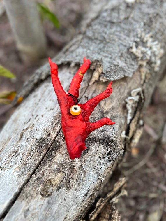Evil Eye Voodoo Chicken Foot - Etsy