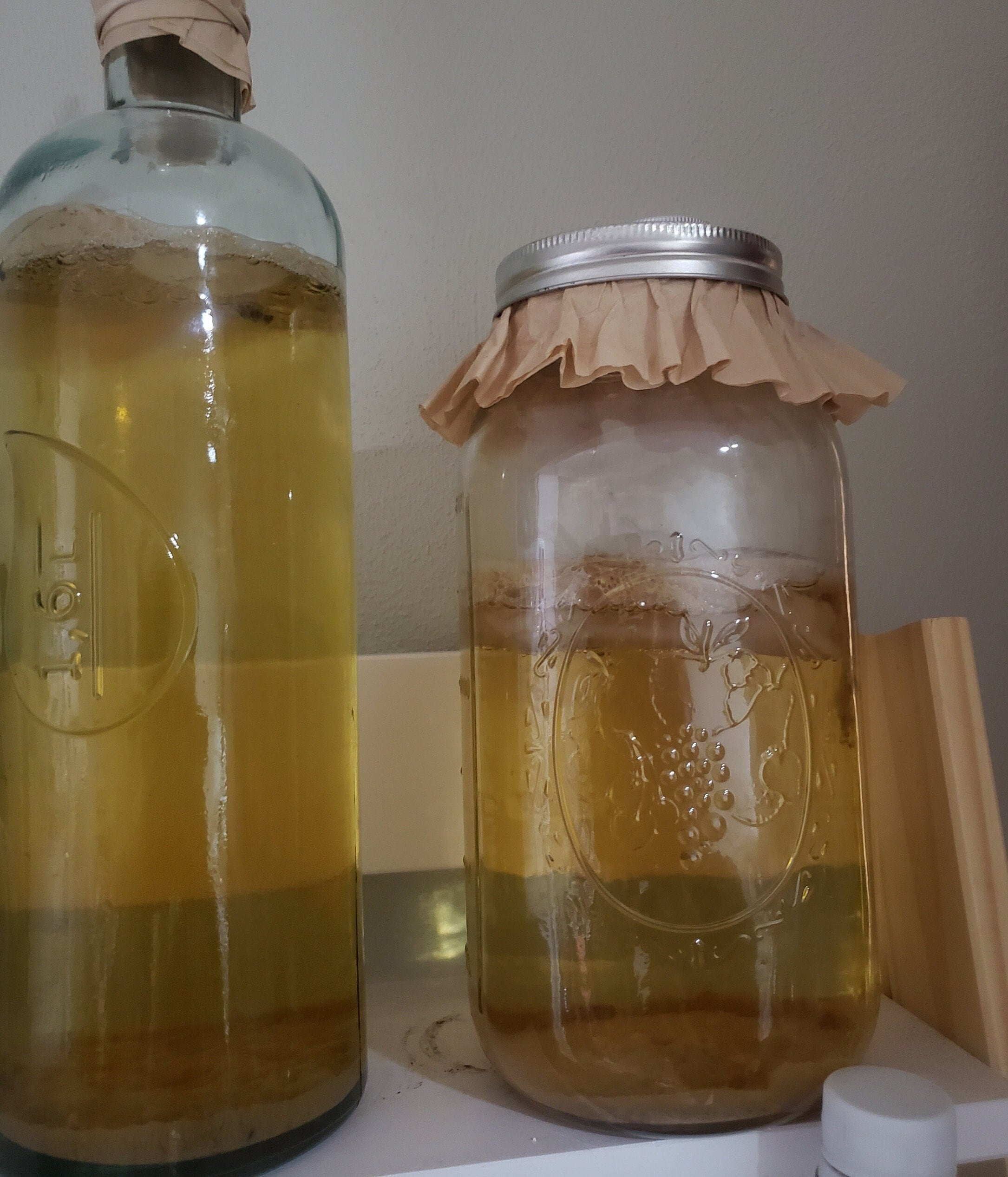 White Tea Honey Jun Kombucha Scoby and Starter - Etsy