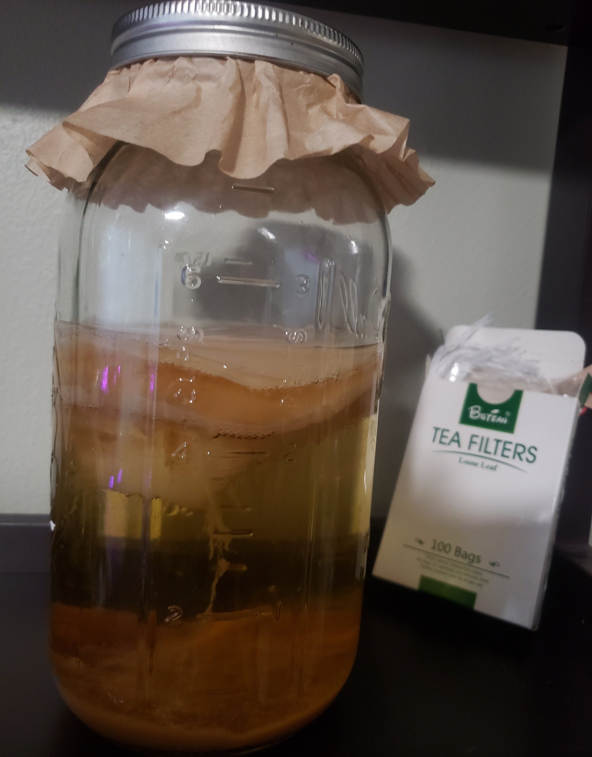 White Tea Honey Jun Kombucha Scoby and Starter - Etsy