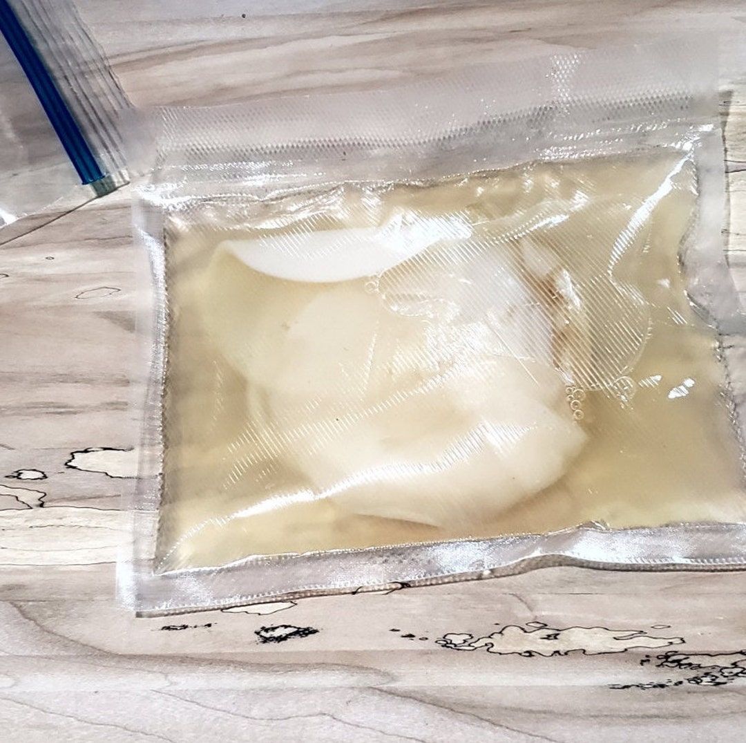 White Tea Honey Jun Kombucha Scoby and Starter - Etsy