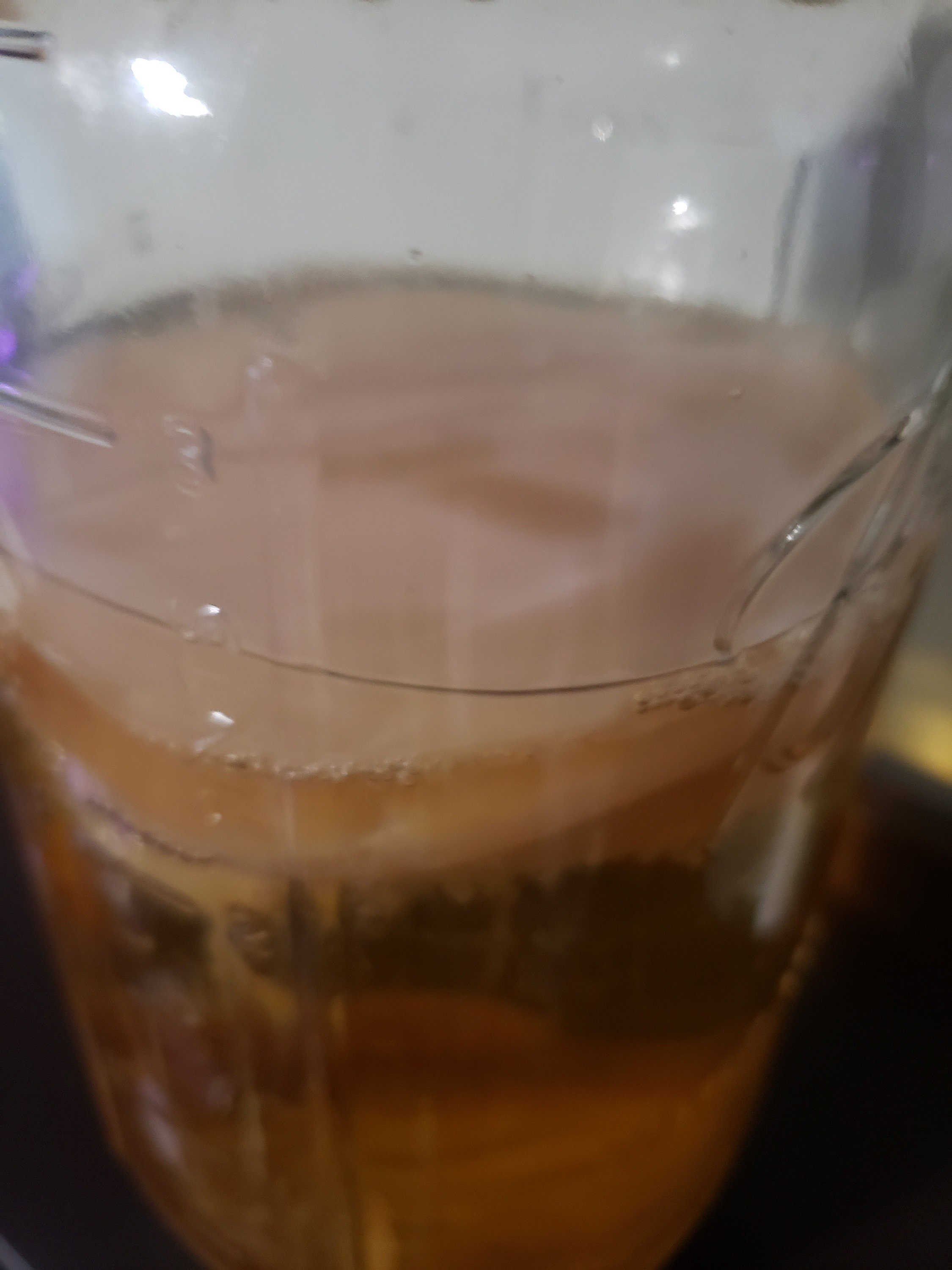 White Tea Honey Jun Kombucha Scoby and Starter - Etsy