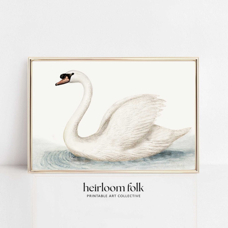 White Swan Sketch Blue Water Vintage Painting Wall Decor Heritage Art ...