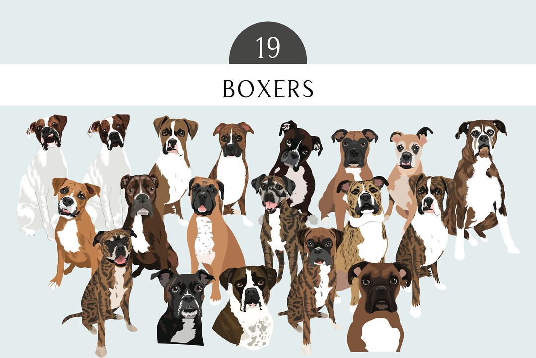 Boxers Dog Clip Art EPS PNG SVG - Dog Breed Dogs Bundle - Boxers Dog ...