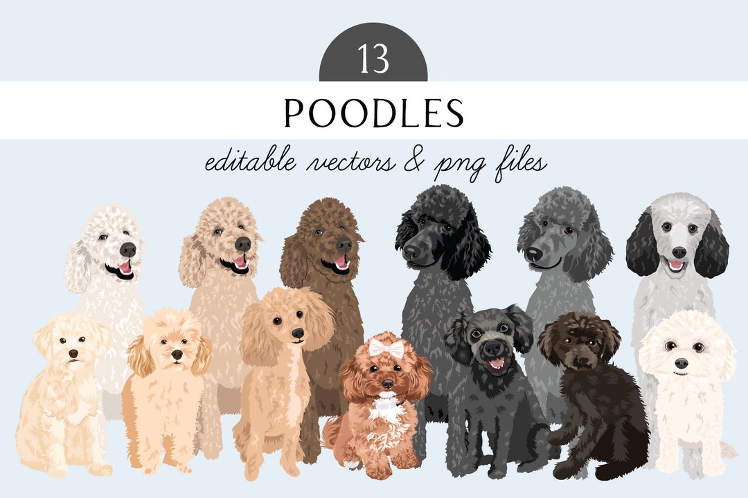 Poodle Clip Art - Dog Breed 13 Editable Dogs Vector - Poodle Dog Vector ...