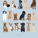Dog Clipart Bundle With 140 Dogs - Dog Breed Illustrations - Over 60 ...