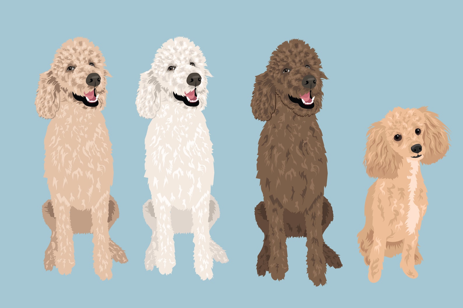 Poodle Clip Art Dog Breed 13 Editable Dogs Vector Poodle | Etsy