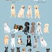 Dog Clipart Bundle With 140 Dogs - VOLUME 2 - Dog Breed Illustrations ...