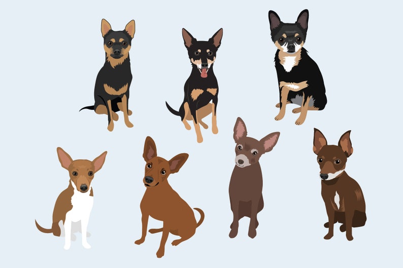 Chihuahua Clip Art - Dog Breed Editable Vector Pack - Chihuahua ...