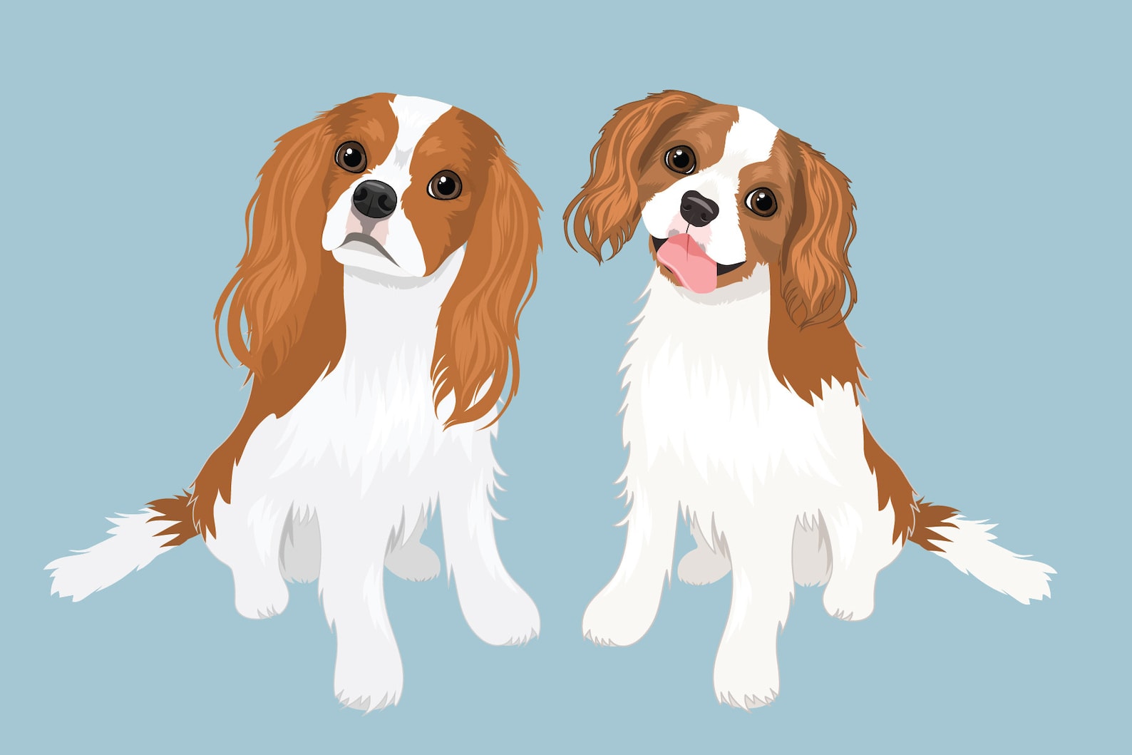 King Charles Cavalier Spaniel Clip Art - Spaniel SVG Dogs - Spaniel PNG ...