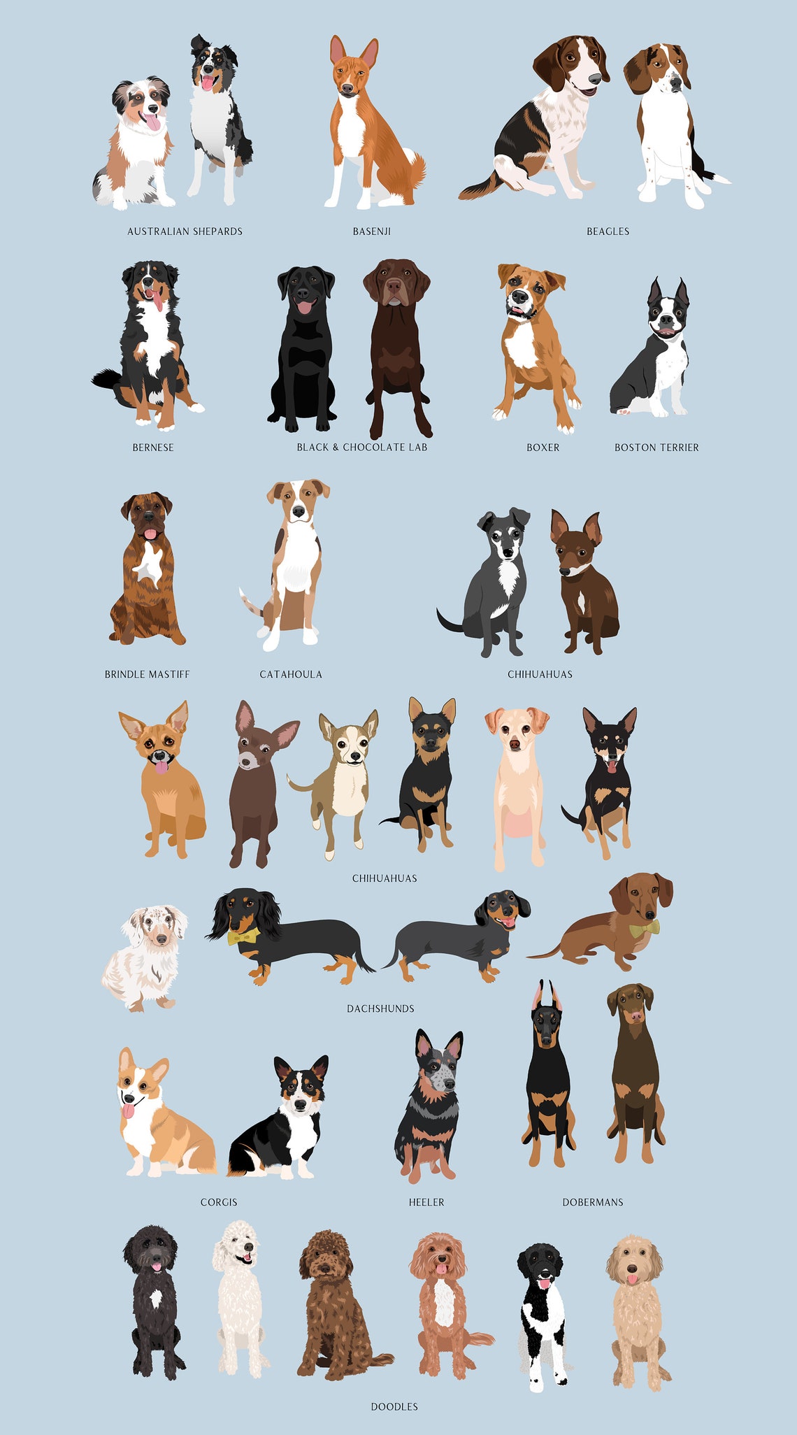 Dog Clipart Bundle With 140 Dogs Dog Breed Illustrations - Etsy