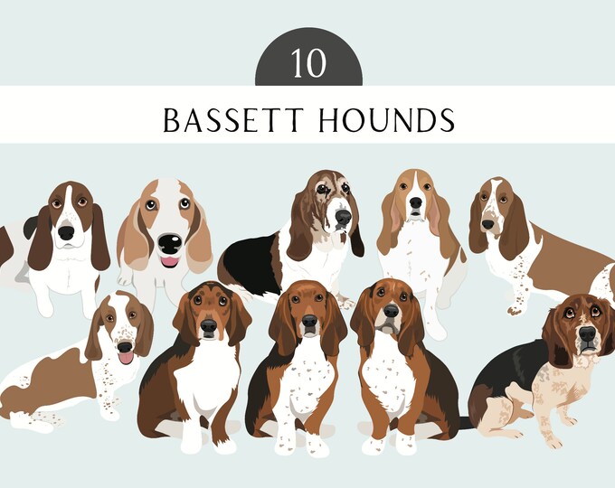 Bassett Hounds Dog Clip Art EPS PNG SVG - Bassett Hounds Dog Breed Dogs ...