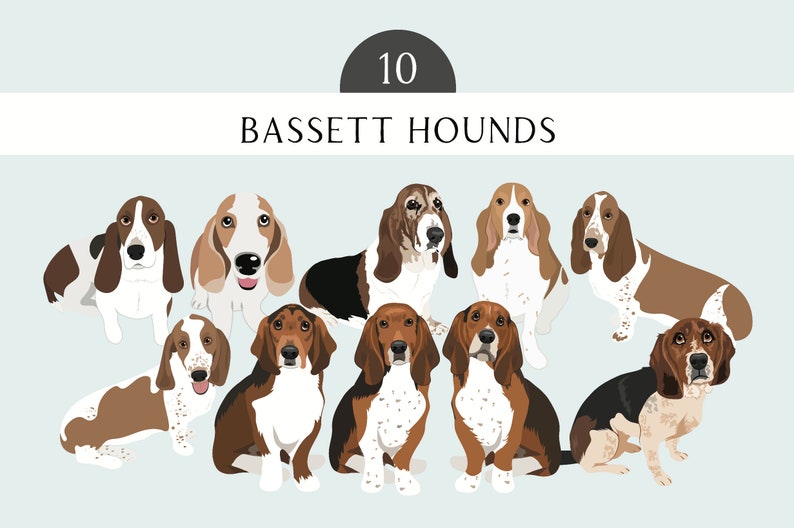 Bassett Hounds Dog Clip Art EPS PNG SVG Bassett Hounds Dog Breed Dogs ...