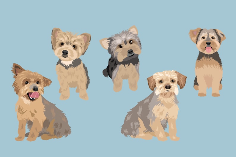 Yorkshire Terrier Clip Art Yorkie Dog Breed Editable Vector Pack ...