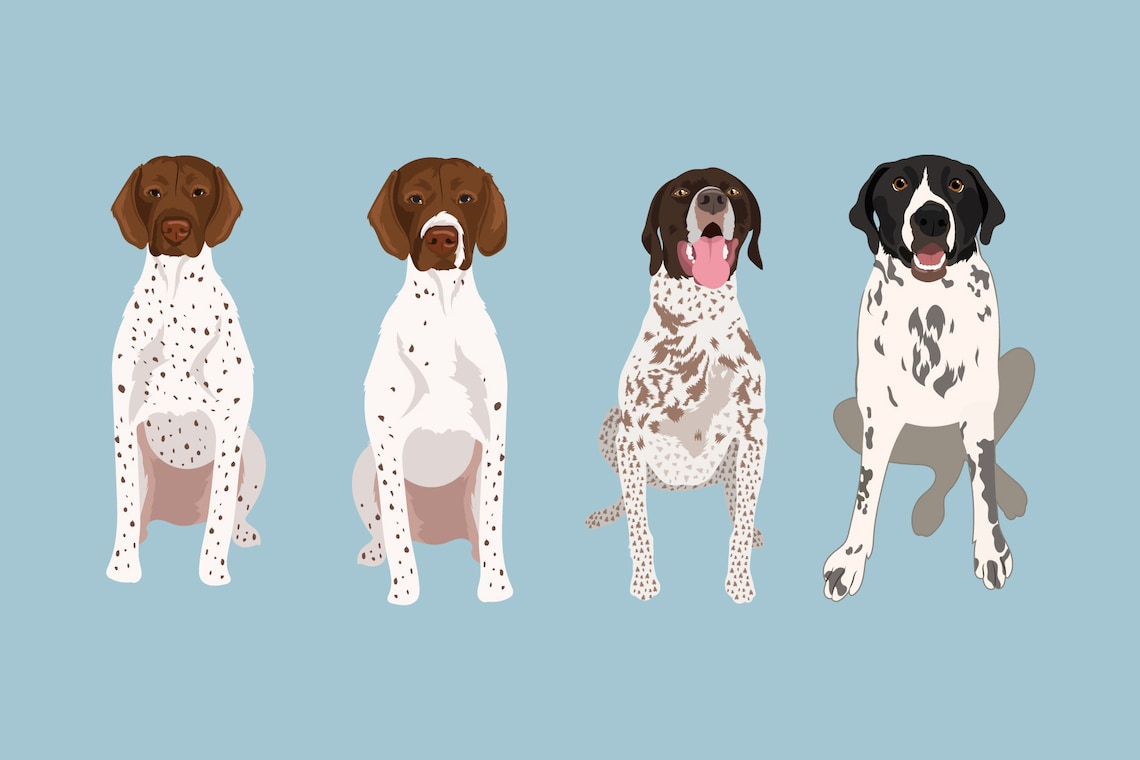 Pointers Clip Art Clip Art Dog Breed Editable Vector Pack Pointer Hunting Dog Vector Art Hound ...
