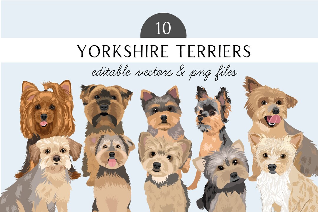 Yorkshire Terrier Clip Art - Yorkie Dog Breed Editable Vector Pack ...